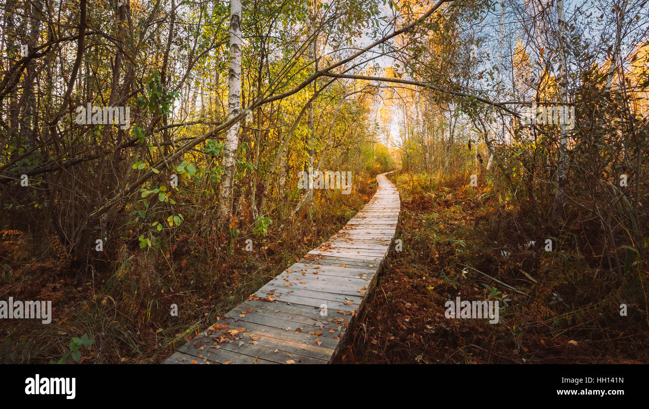 Wooden boarding hi-res stock photography and images - Alamy
