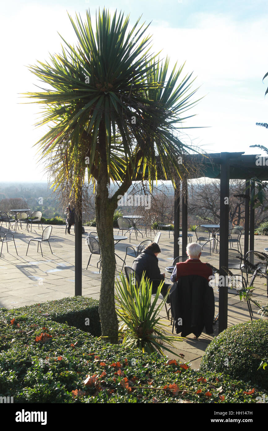 The General Public sit out on the cafe terrace outside Petersham Lodge ...
