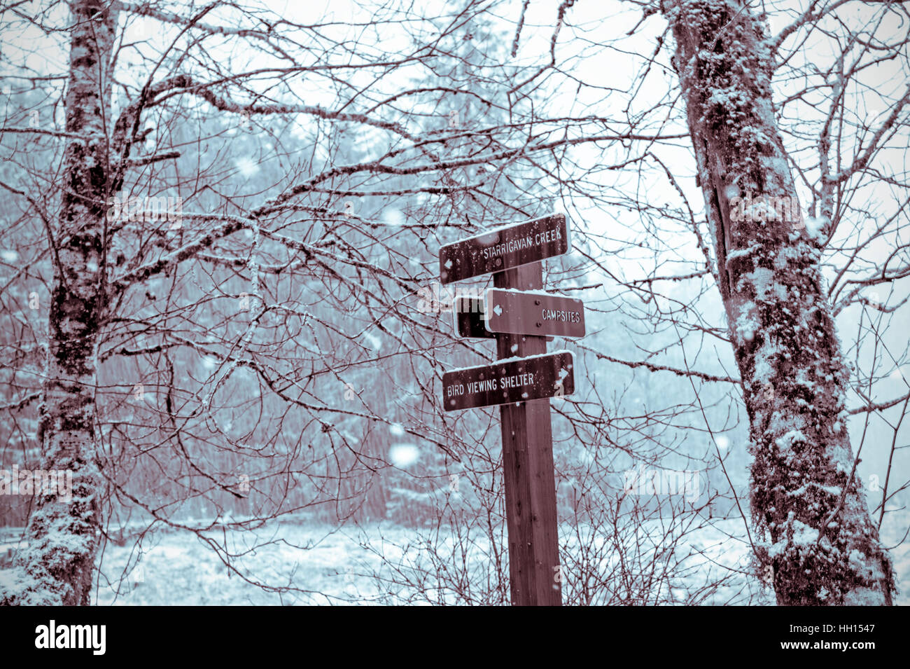 Direction signs beside Starrigavan Loop Trail near Sitka, Alaska, USA ...
