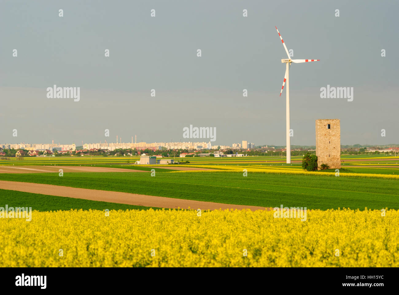 Kittsee: Wind turbine power plant plants, rape fields, Moor tower as a ...