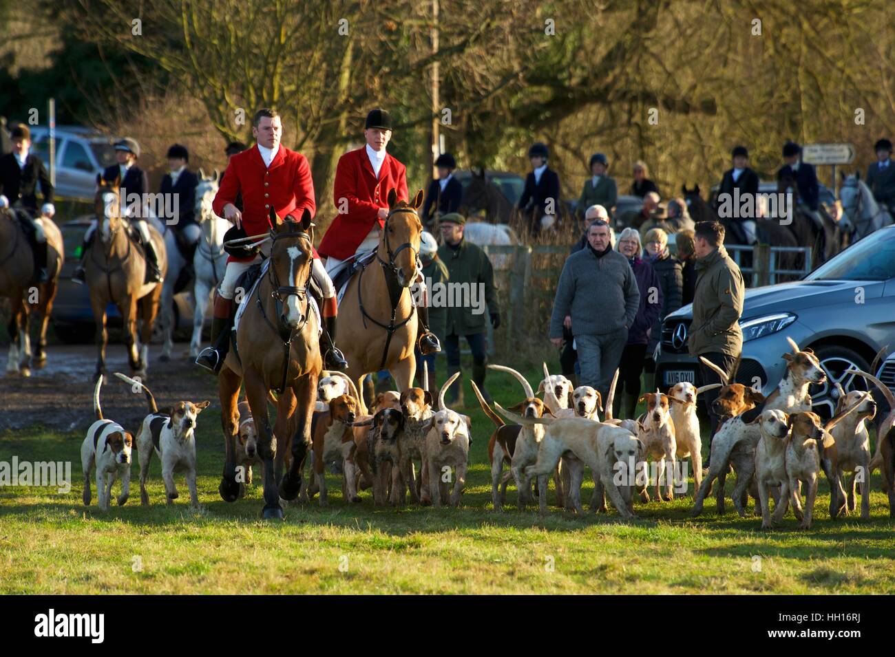 Essex and suffolk hunt hi-res stock photography and images - Alamy