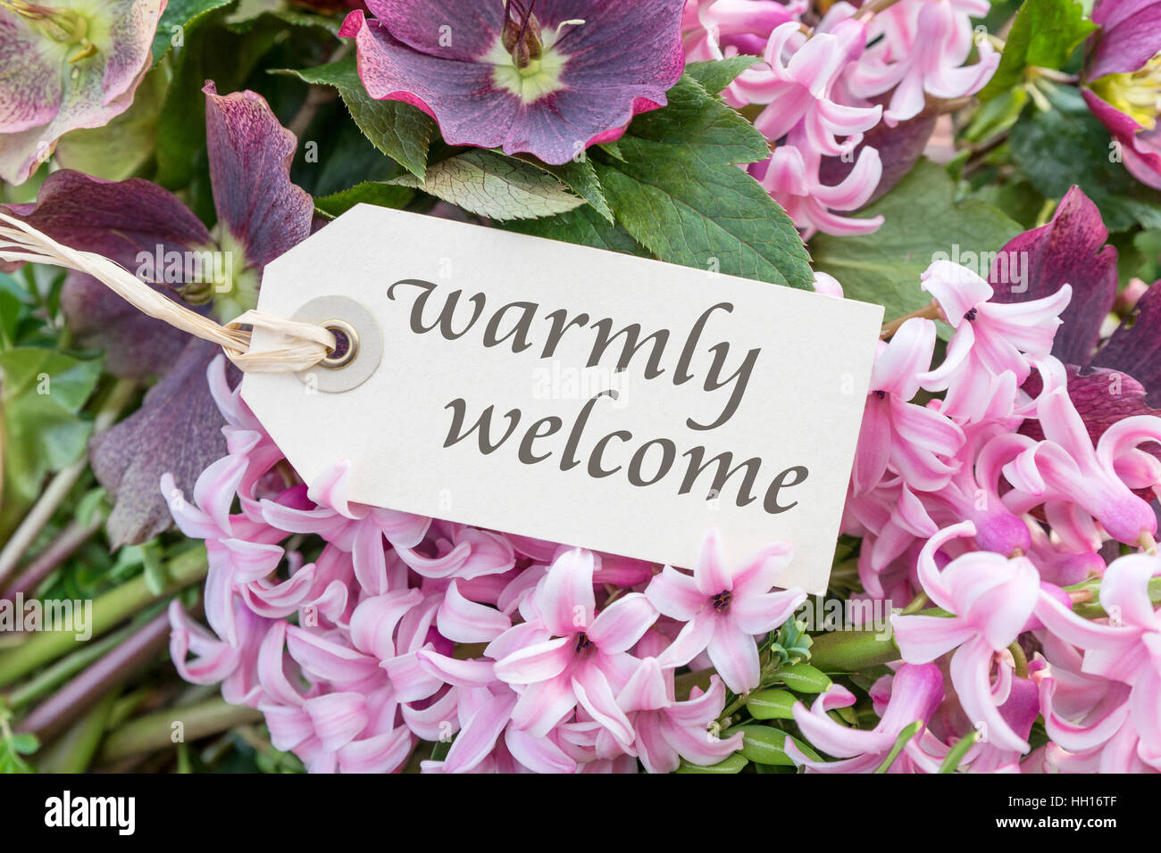 Welcome card hi-res stock photography and images - Alamy