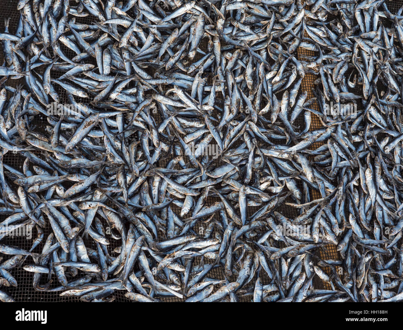 Small dried fish hi-res stock photography and images - Alamy