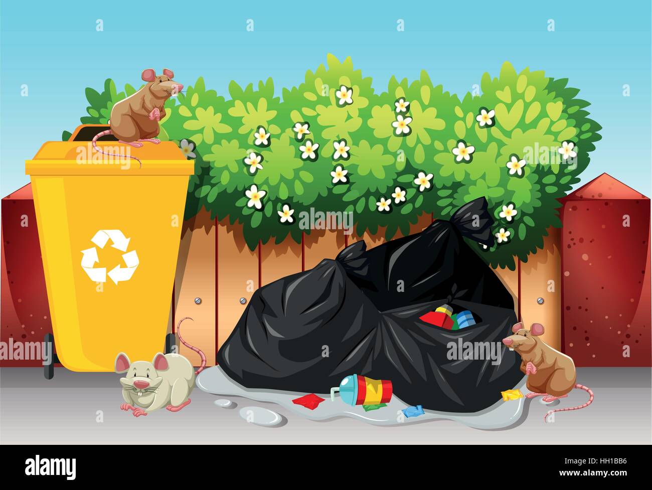 Garbage rats hi-res stock photography and images - Alamy