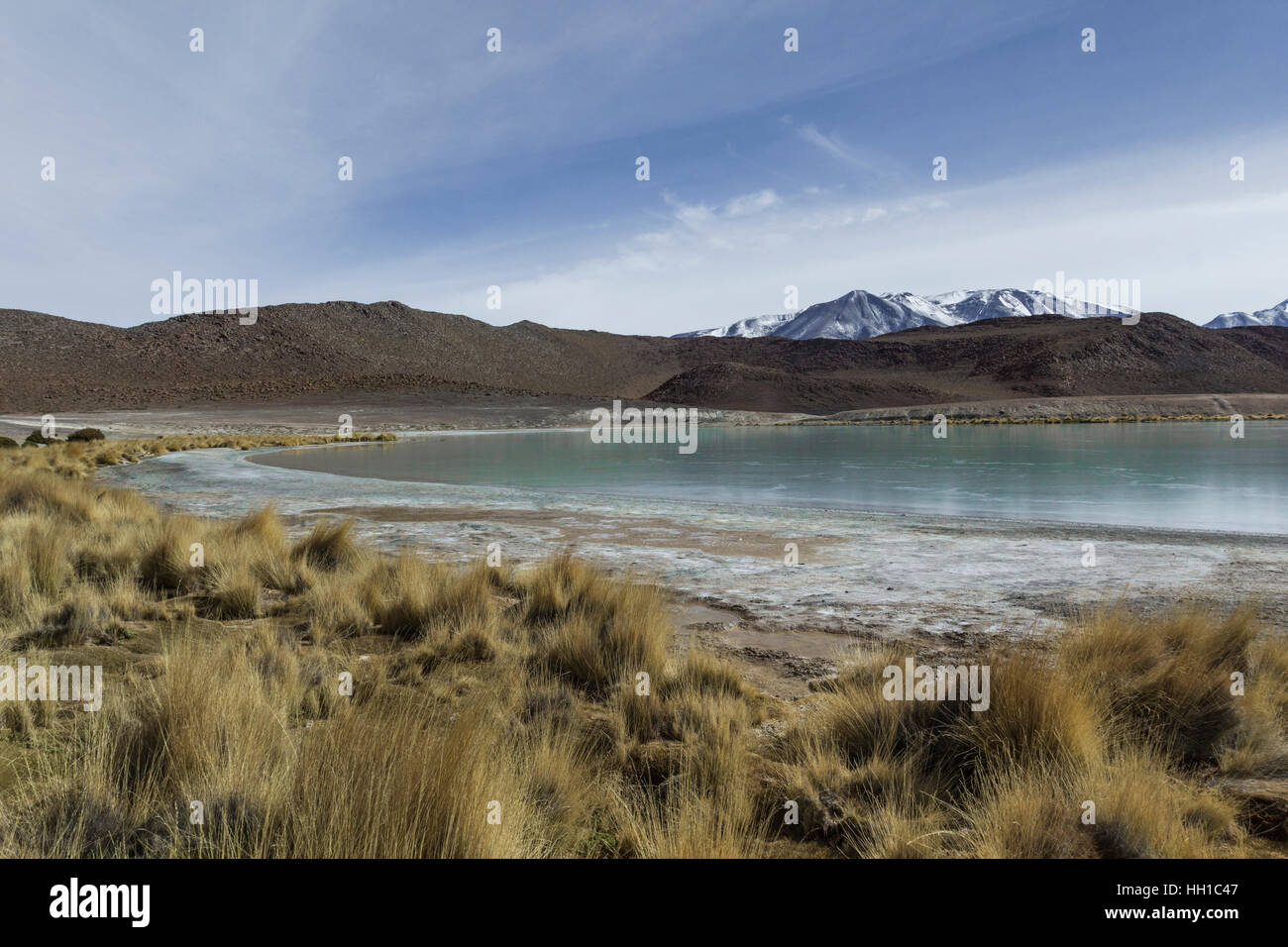 Colorado Lagoon, Salt Lake, Bolivia Stock Photo - Alamy
