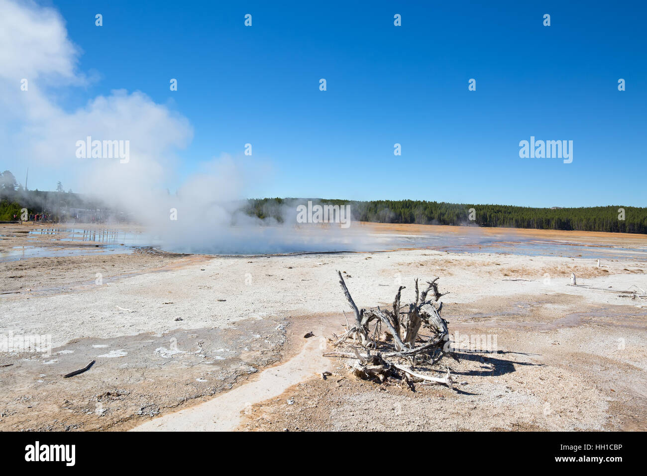 Lower geyser basin in the Yellowstone National park, USA Stock Photo ...