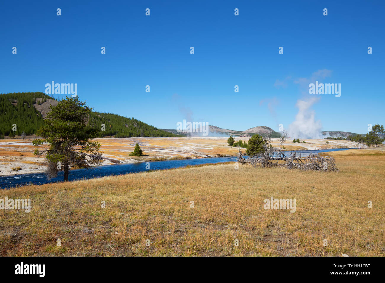 Lower geyser basin in the Yellowstone National park, USA Stock Photo ...