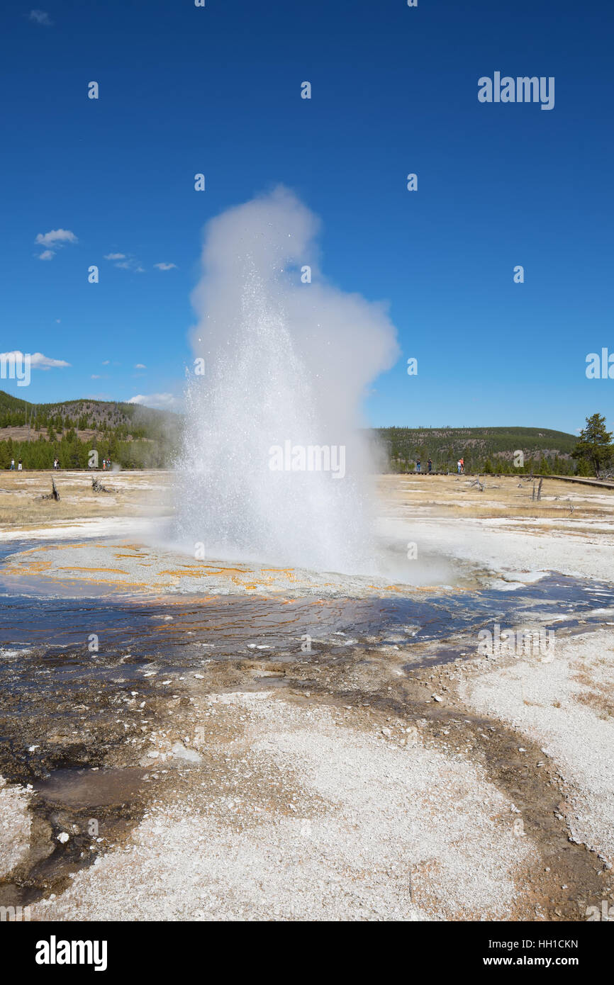 Jewel geyser eruption in the Yellowstone national park, USA Stock Photo ...