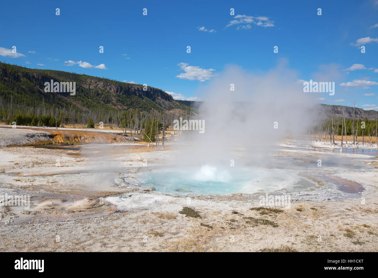 Geyser eruption in the Yellowstone national park, USA Stock Photo - Alamy