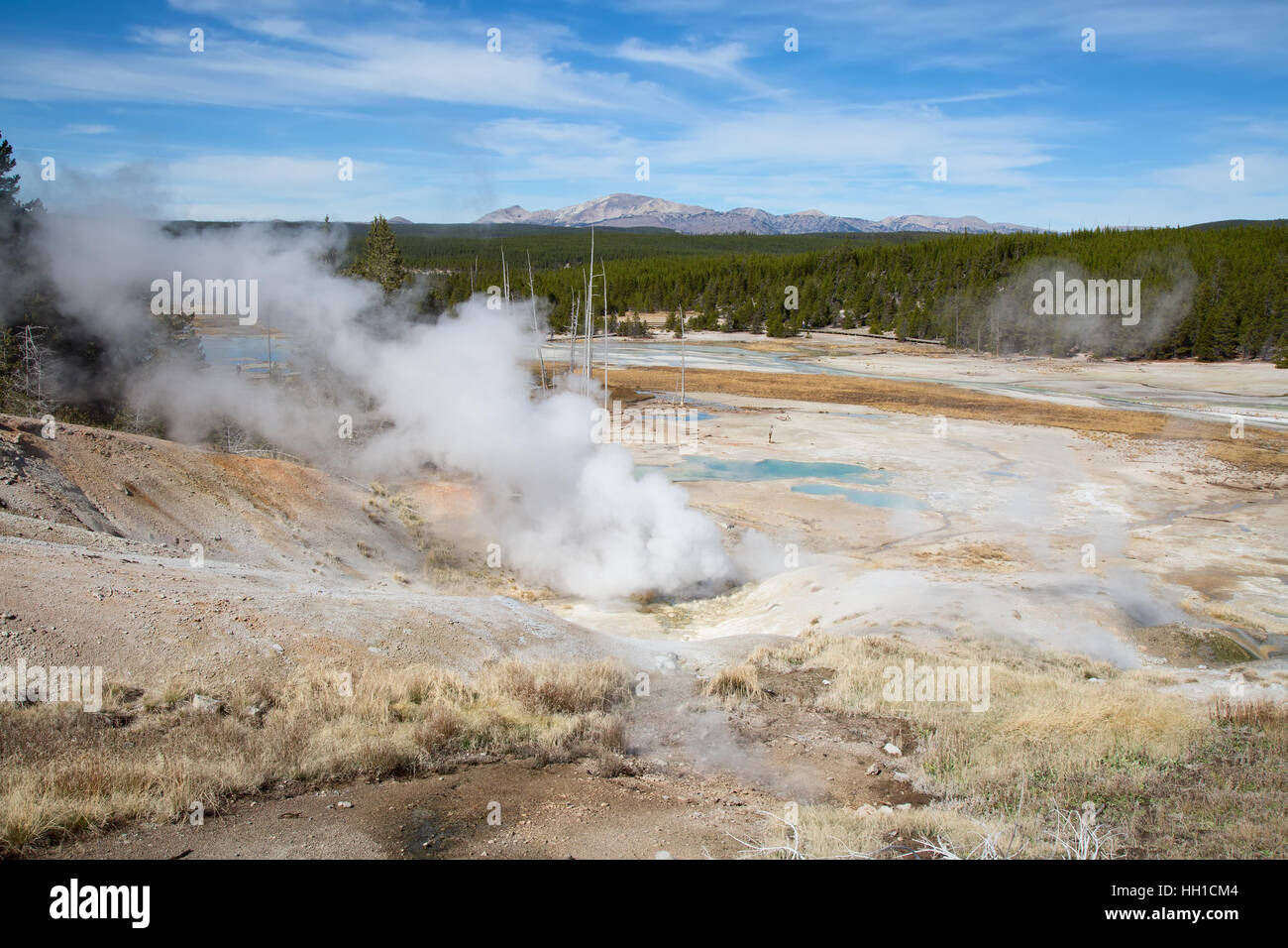 Norris geyser basin in the Yellowstone National park, USA Stock Photo ...