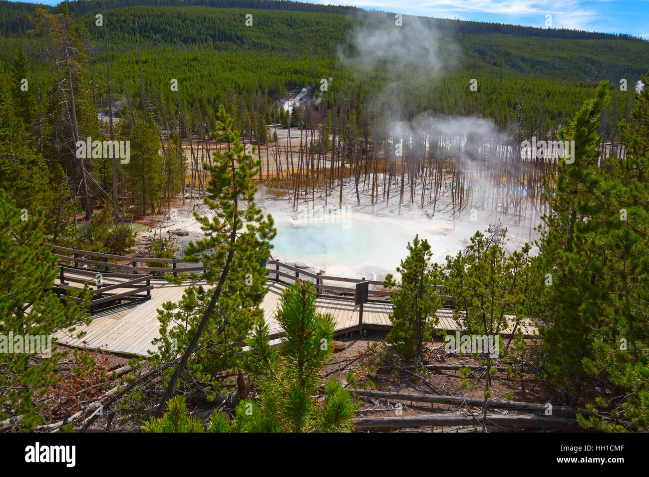 Norris geyser basin in the Yellowstone National park, USA Stock Photo ...