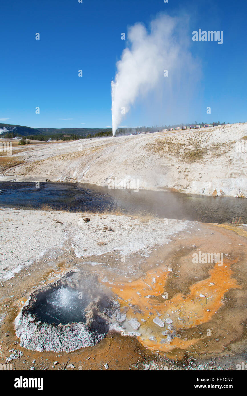 Cone geyser eruption in the Yellowstone national park, USA Stock Photo ...