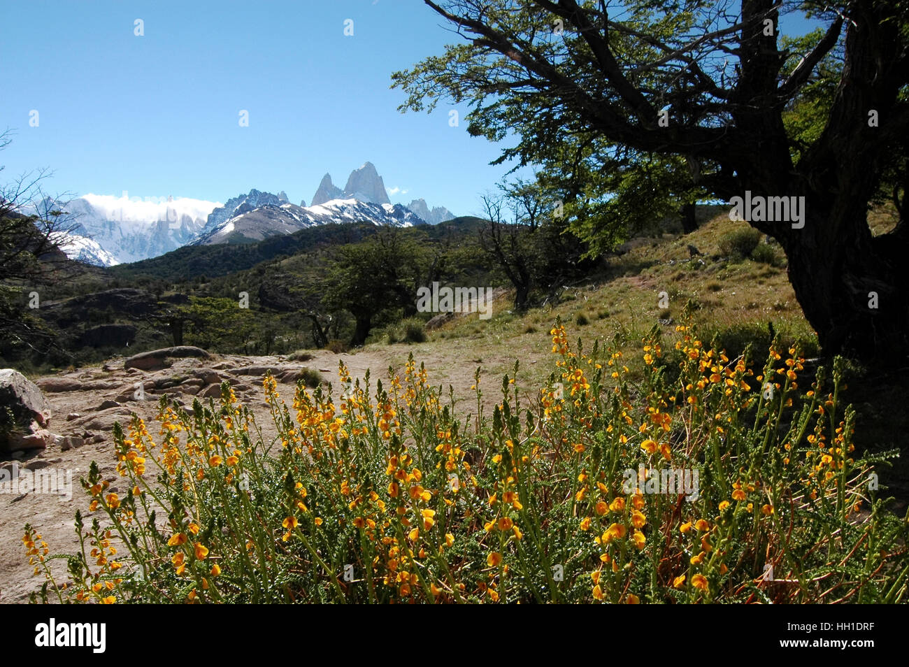 Los Glaciares National Park, Patagonia, Argentina Stock Photo - Alamy