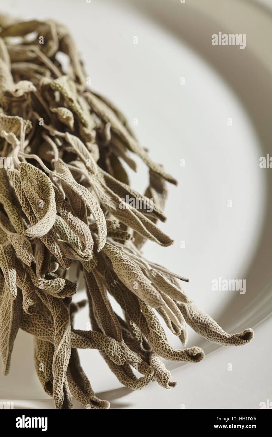 a bunch of dried sage leaves Stock Photo - Alamy