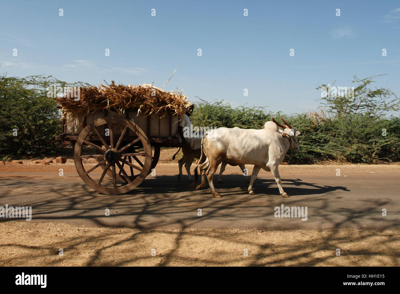 Rural life india hi-res stock photography and images - Alamy