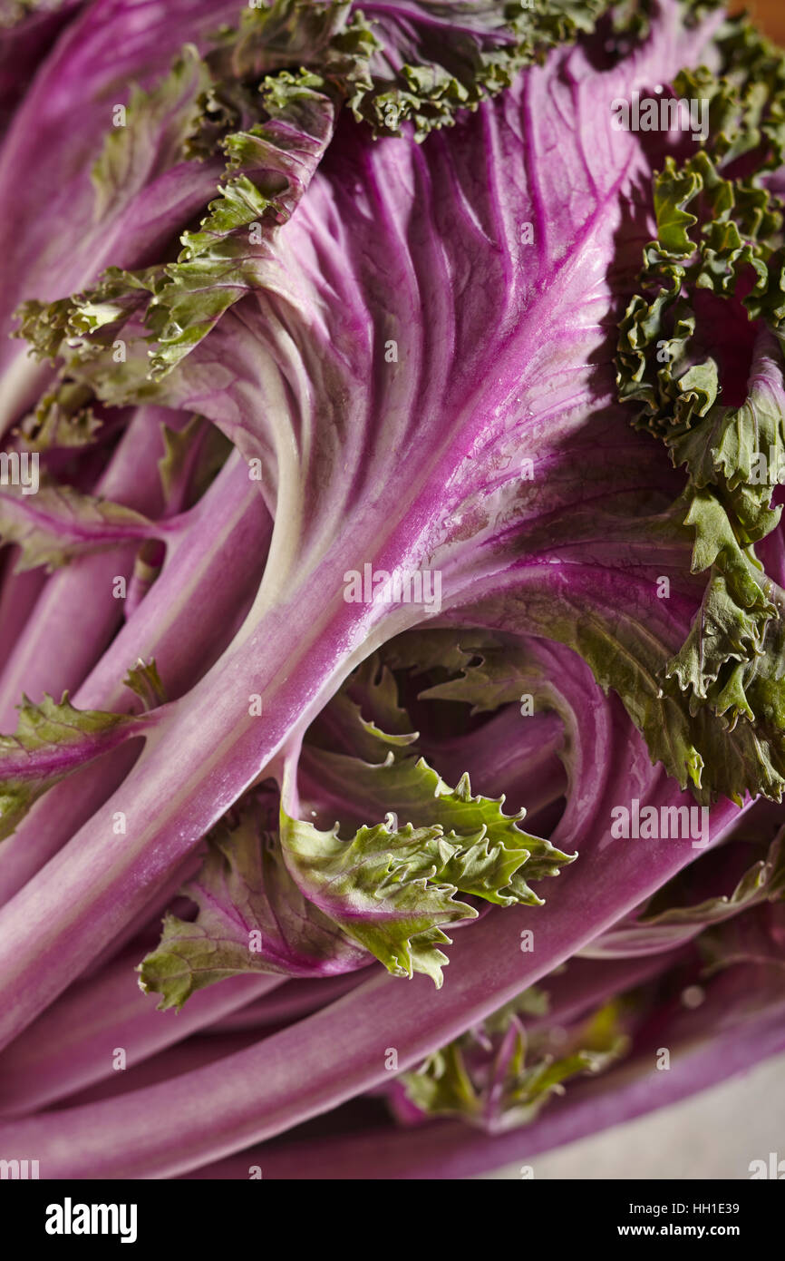 Purple kale hi-res stock photography and images - Alamy