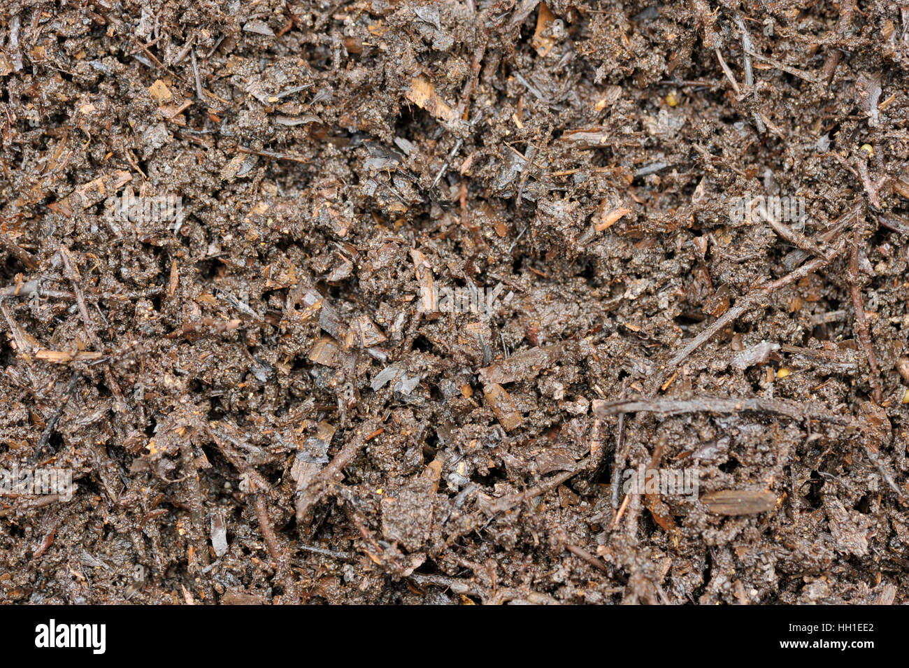 Composting wood chips bark and leaves to use as a garden mulch Stock ...