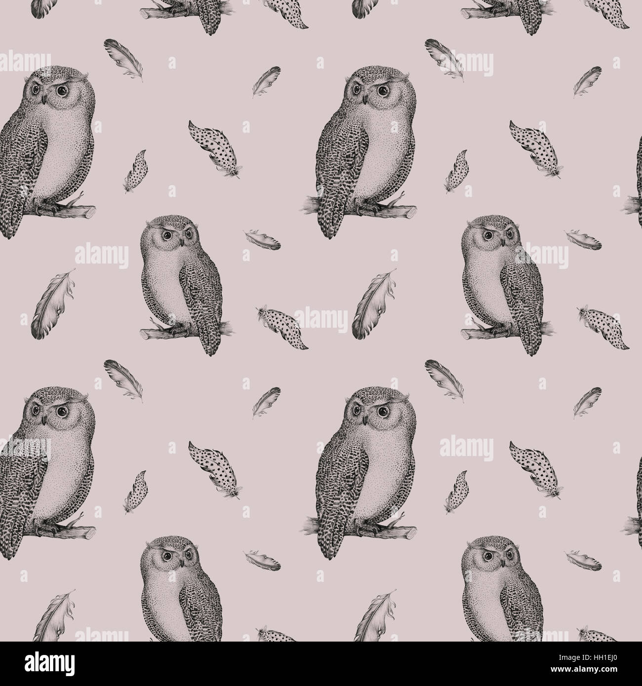 Hand drawn isolated black white seamless pattern owl fly bird Stock ...