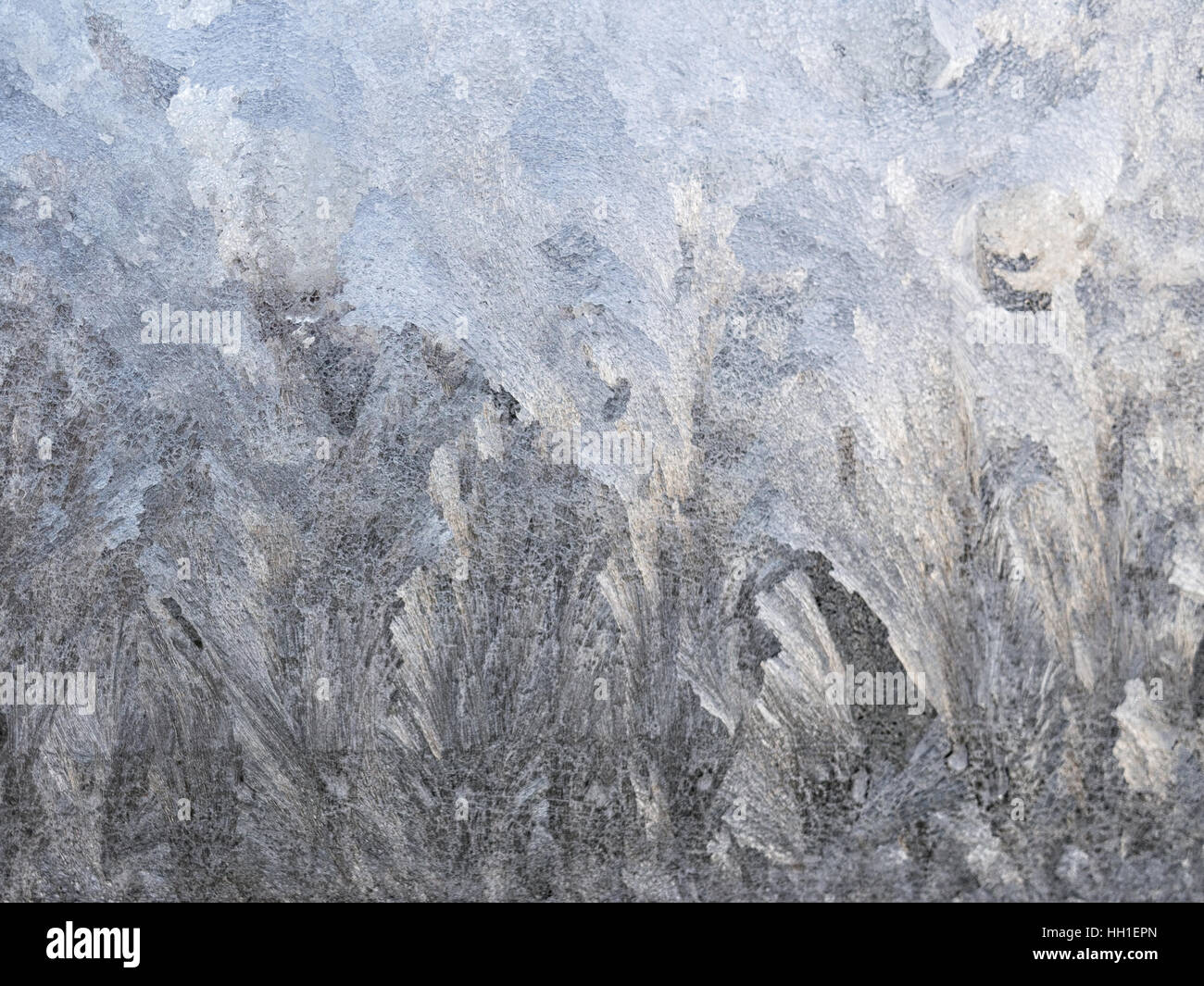 Fern ice pattern hi-res stock photography and images - Alamy