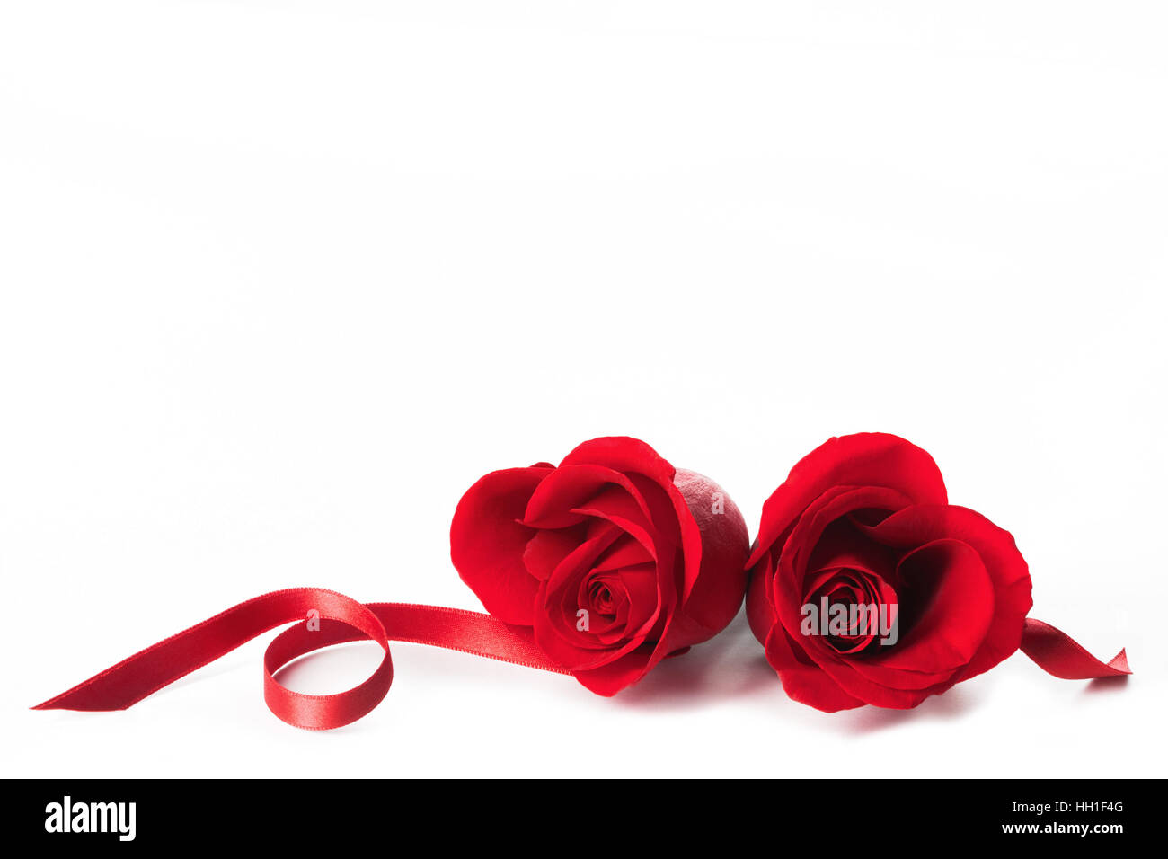 Two heart shaped red roses and ribbons isolated on white background ...