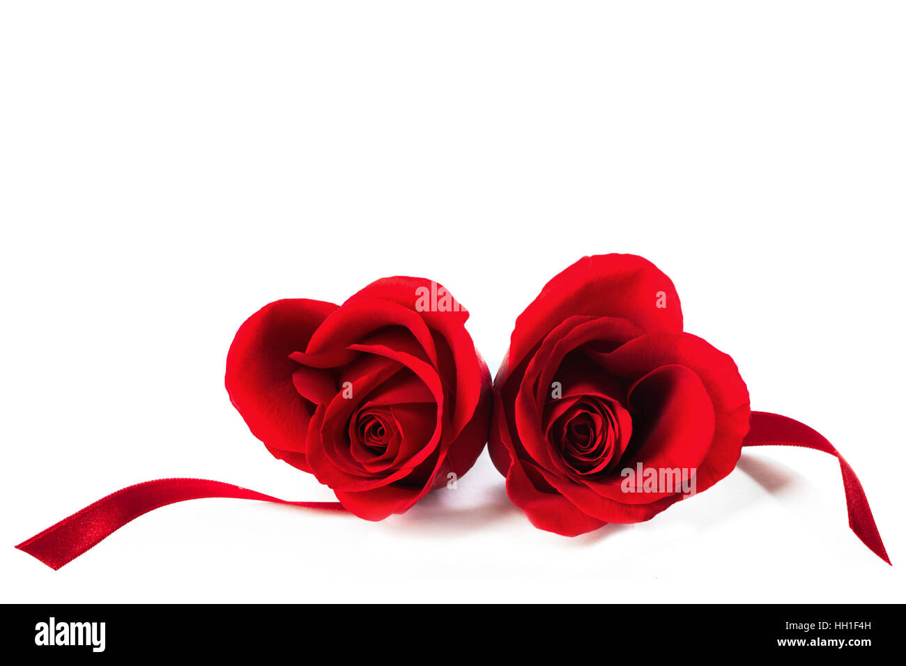 Two heart shaped red roses and ribbons isolated on white background ...