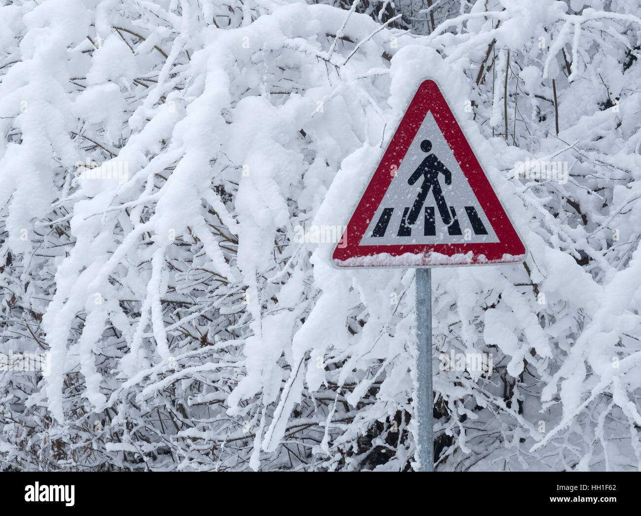 Crossing road sign and trees covered in snow Stock Photo - Alamy