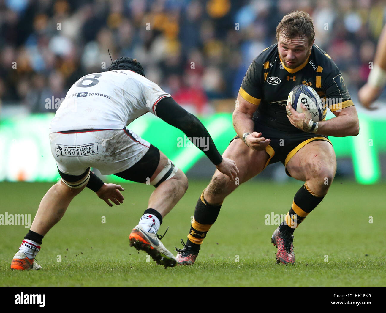 Wasps matt mullen hi-res stock photography and images - Alamy