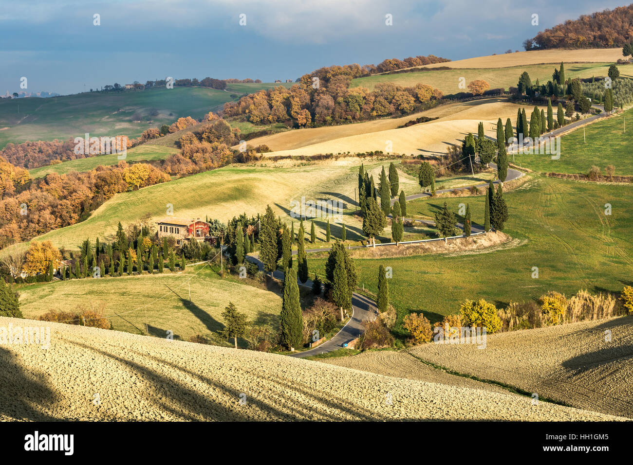 Monticchiello road in Val d'Orcia, Tuscany Stock Photo - Alamy