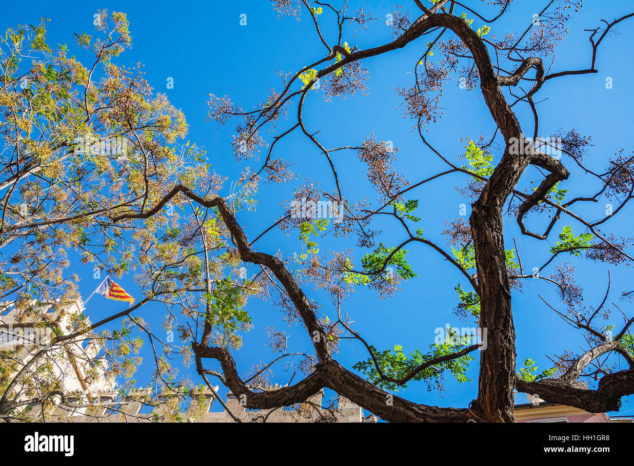 Autumn background with historical castle ,trees and blue sky ,in the ...