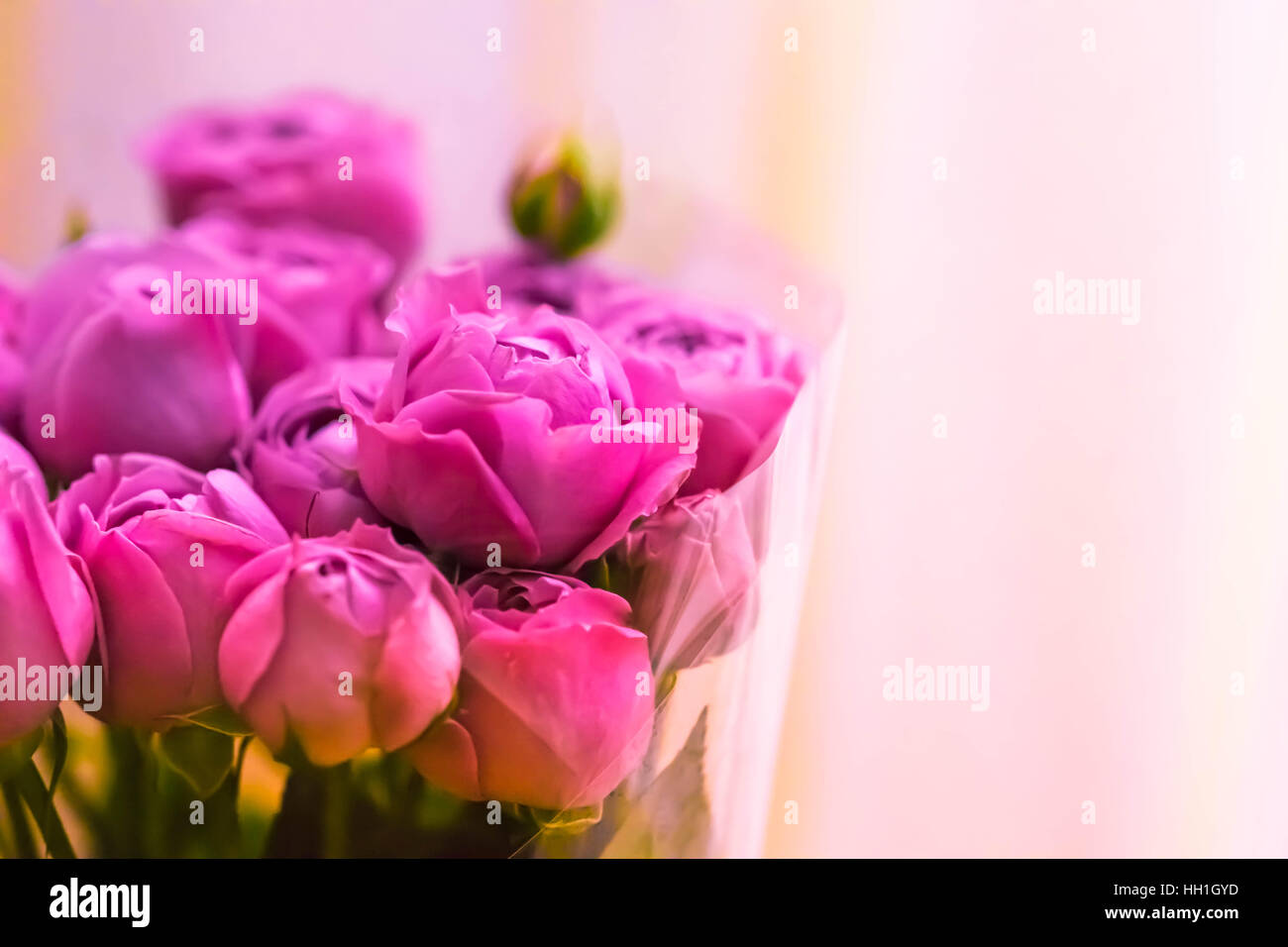 Pink peony roses bouquet Stock Photo - Alamy