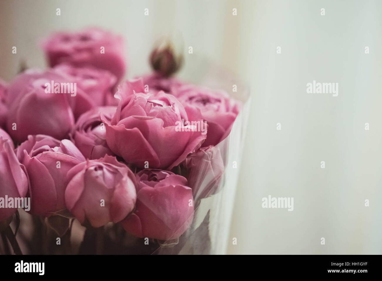 Pink peony roses bouquet Stock Photo - Alamy