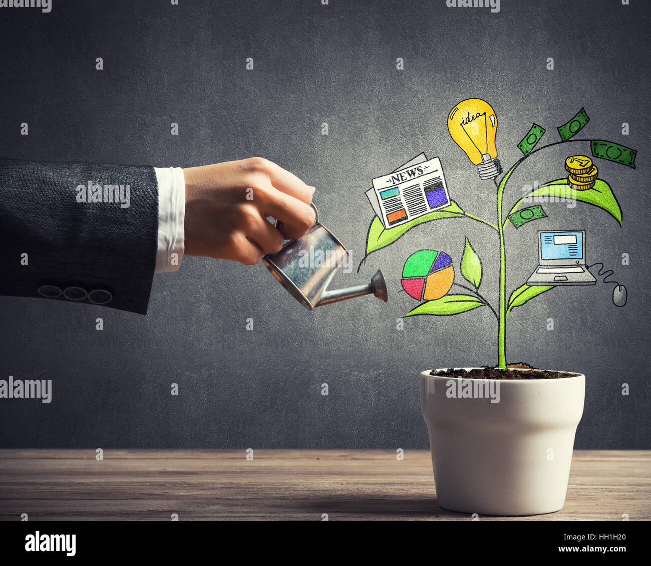 Drawn income tree in white pot for business investment savings and ...