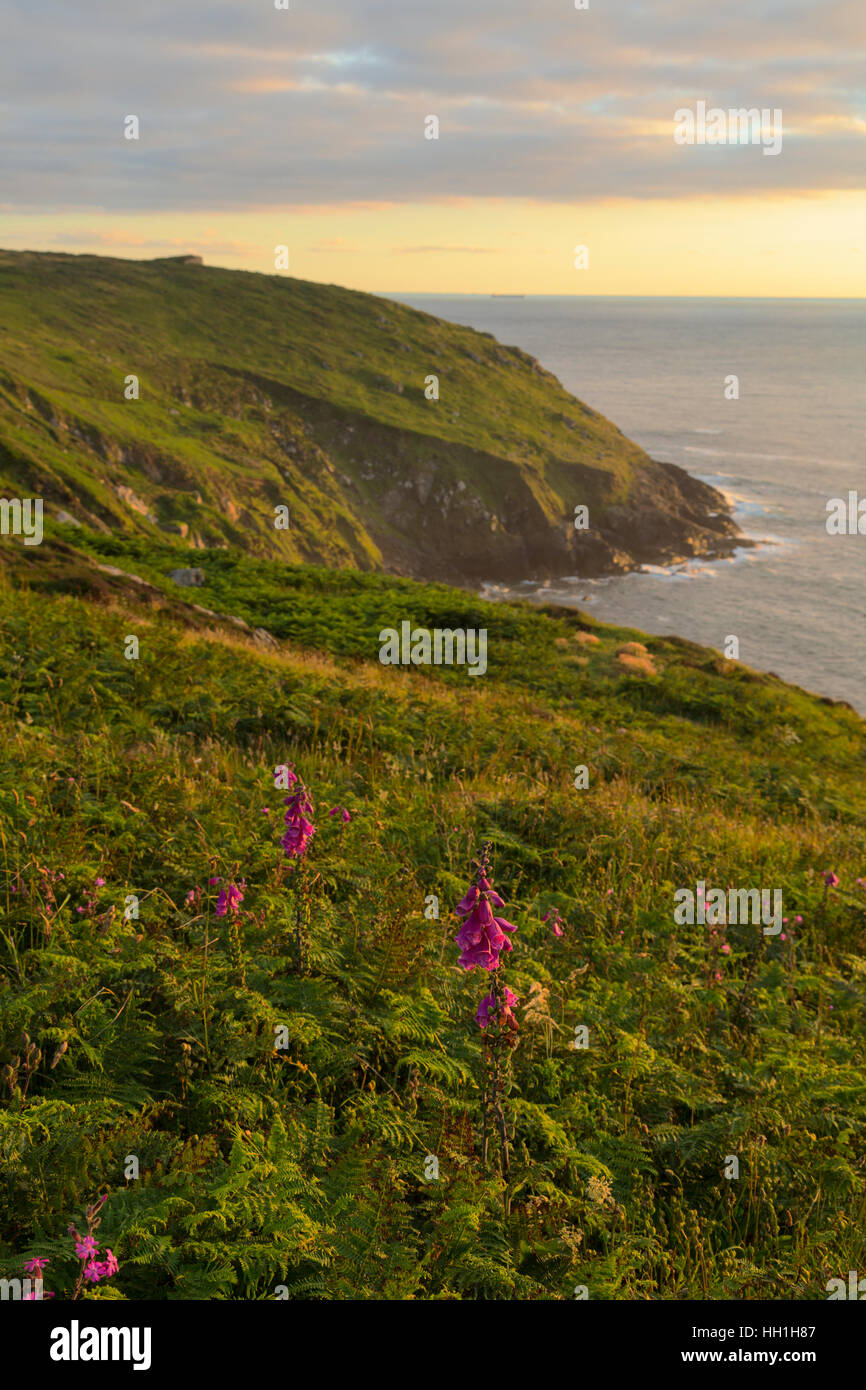 Picture cornish coast hi-res stock photography and images - Alamy
