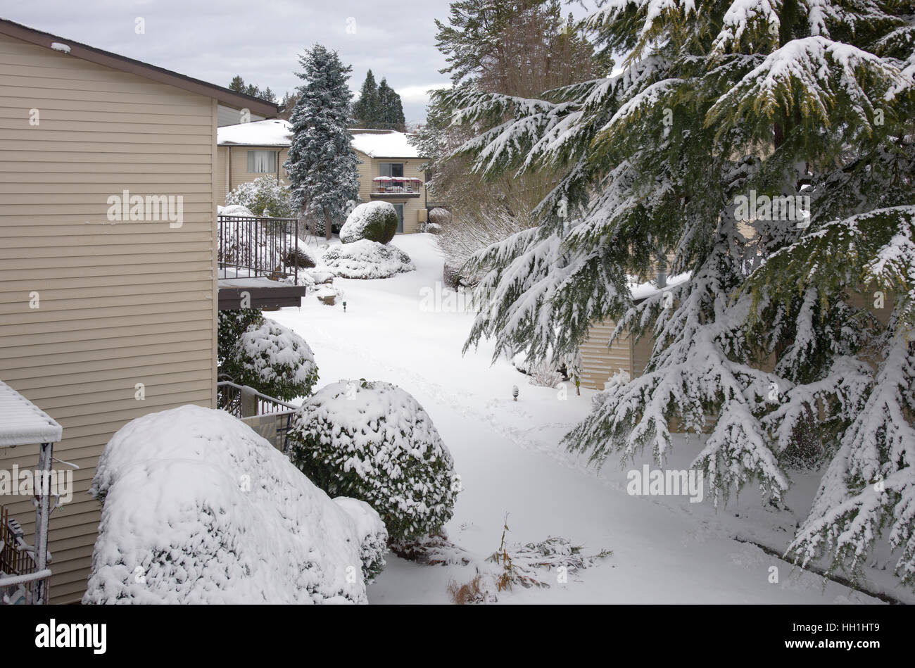 Whiteout hi-res stock photography and images - Alamy