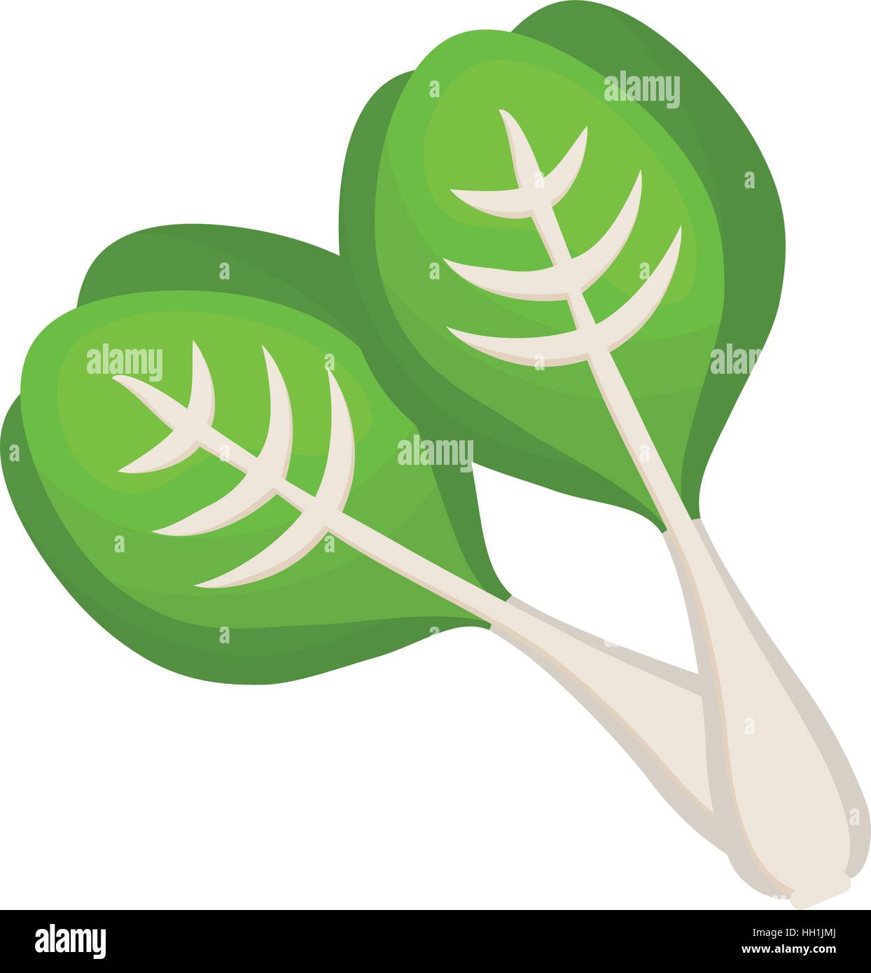 Spinach healthy food icon vector illustration graphic design Stock ...