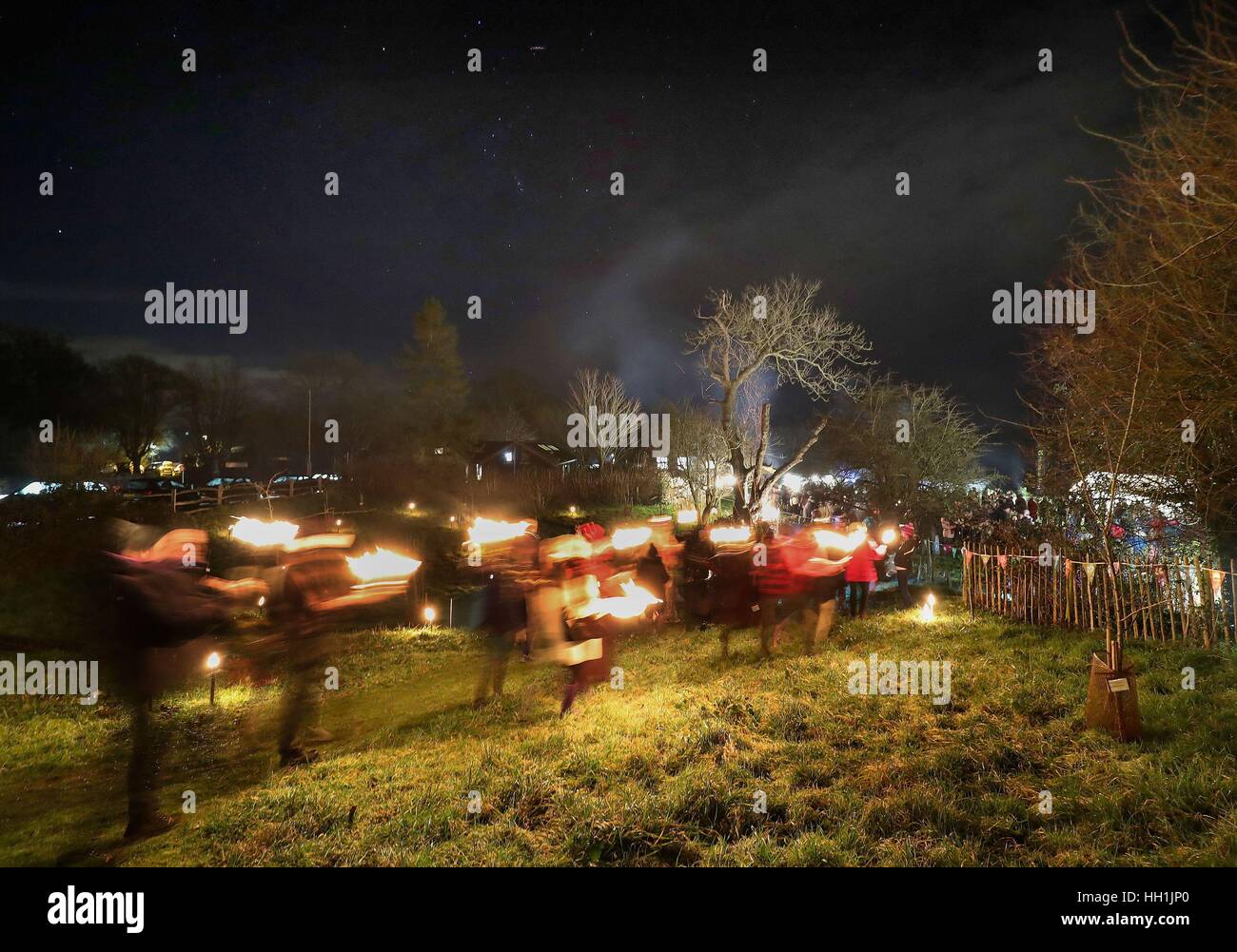 Villagers and National Trust rangers walk through the village orchard ...