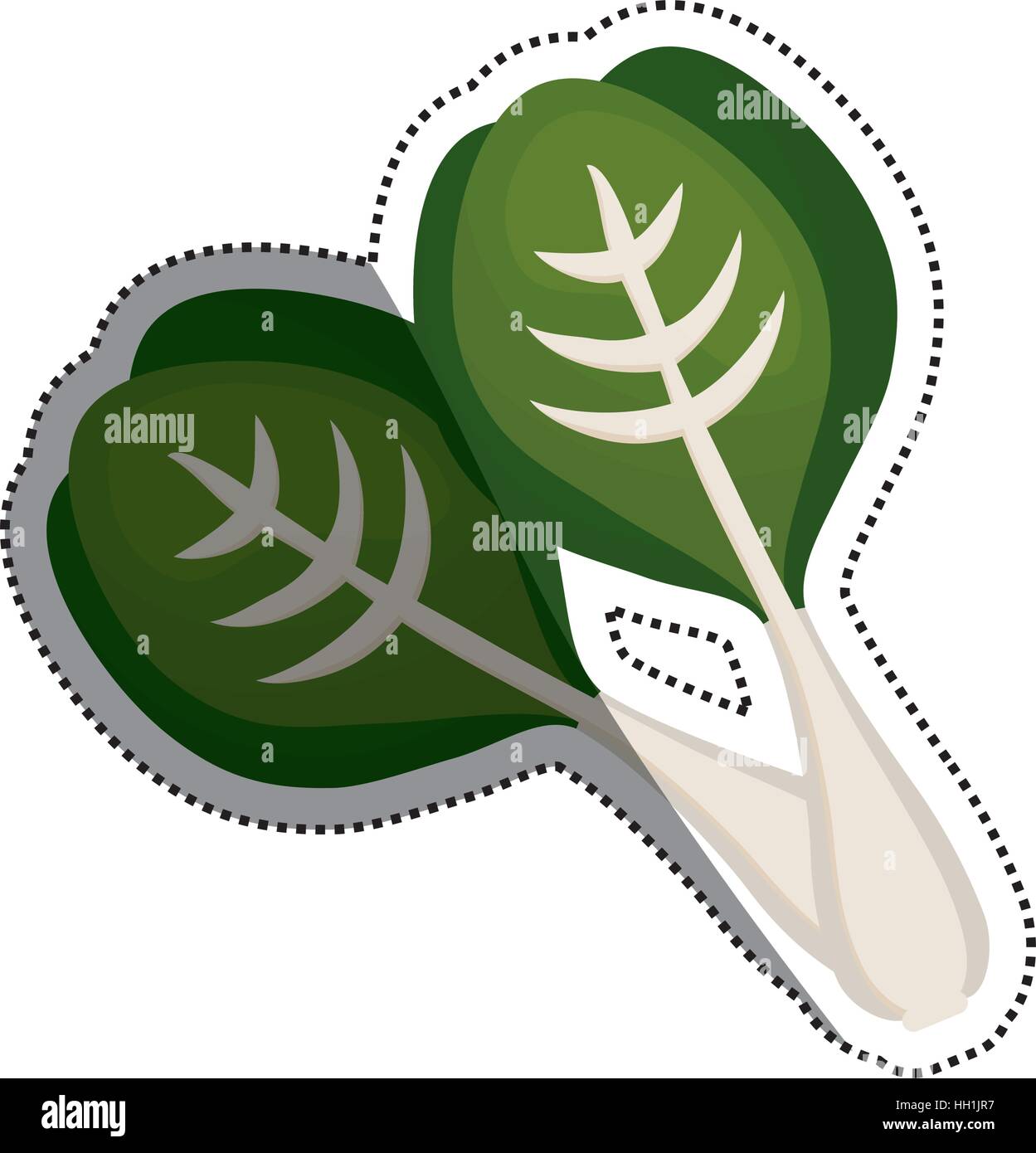 Spinach healthy food icon vector illustration graphic design Stock ...