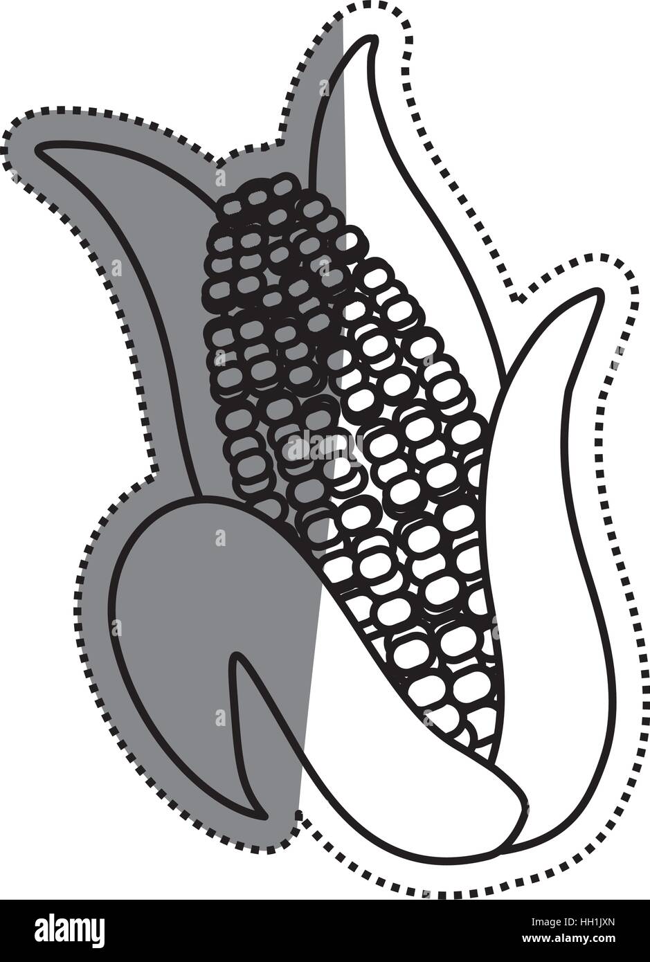 Fresh corn vegetable icon vector illustration graphic design Stock ...