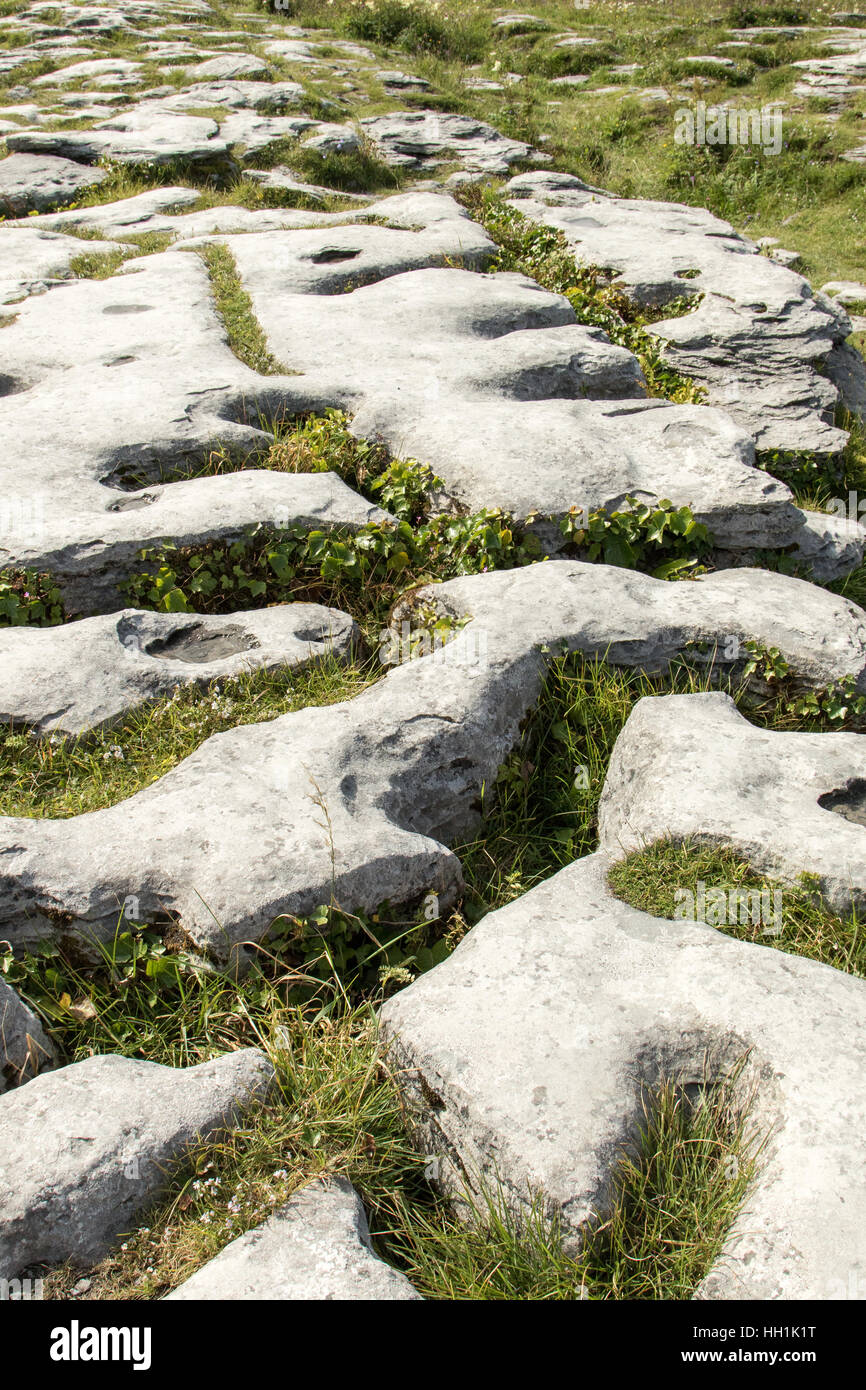 Porous pavement hi-res stock photography and images - Alamy