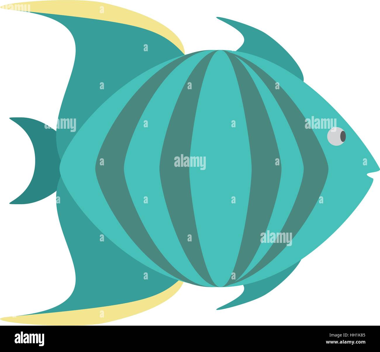 Marine biology fish collection Stock Vector Images - Alamy