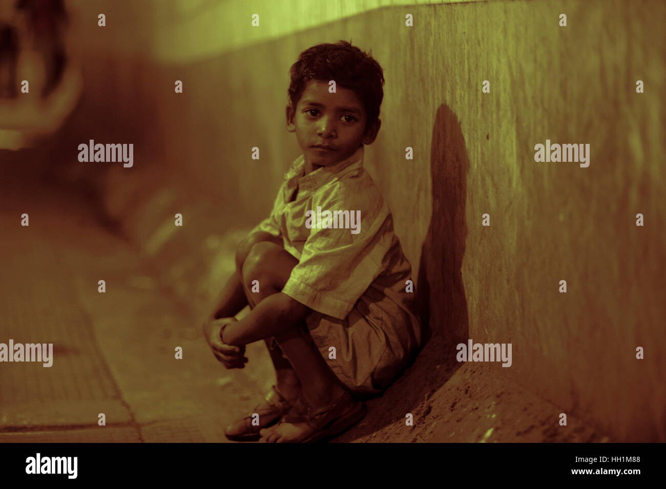 Saroo lion hi-res stock photography and images - Alamy
