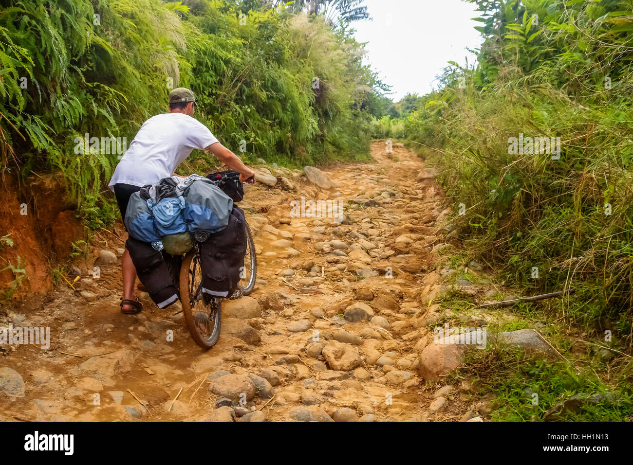 Cyclist struggling with bicycle on difficult jungle track towards ...