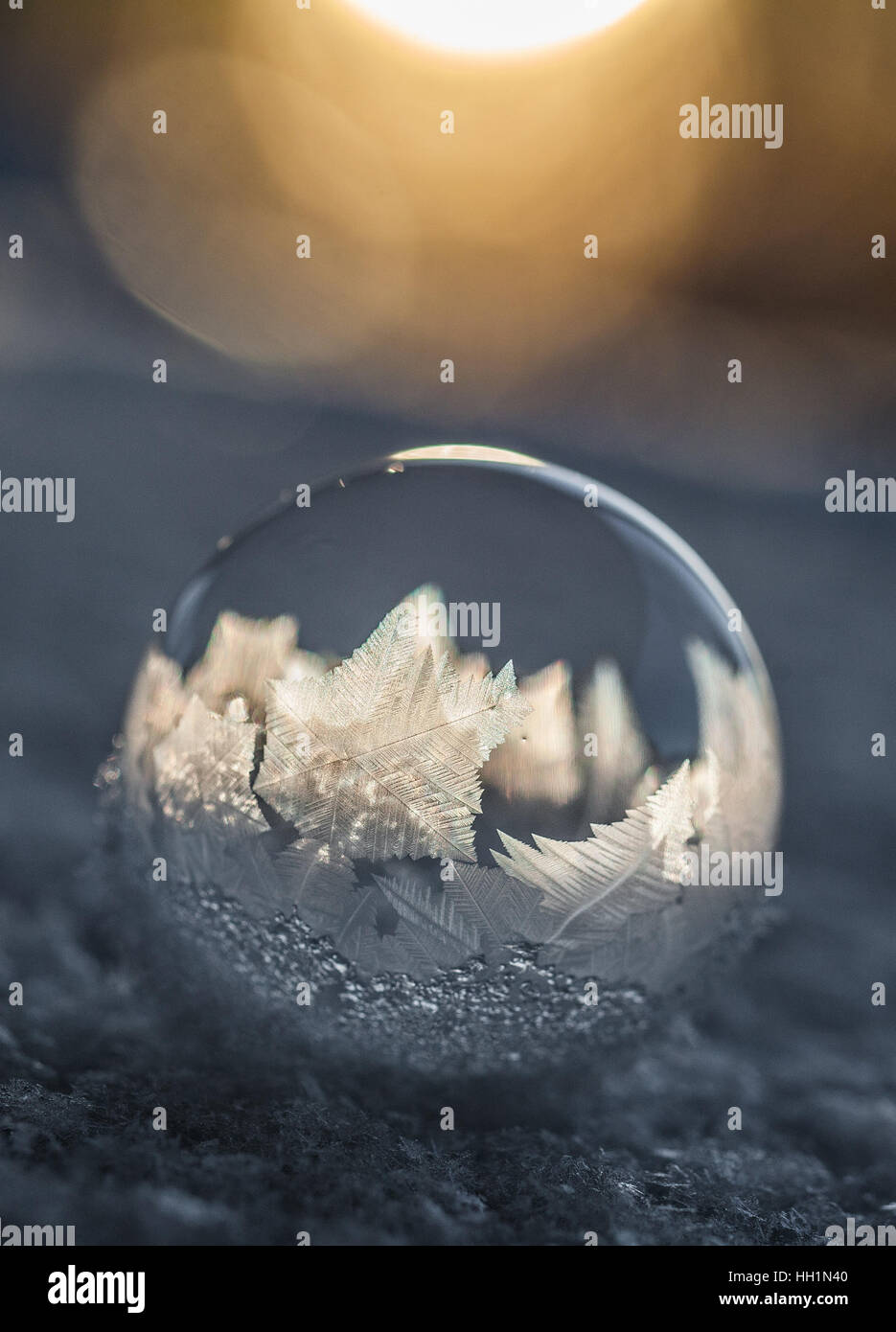 Frozen soap bubble Stock Photo - Alamy