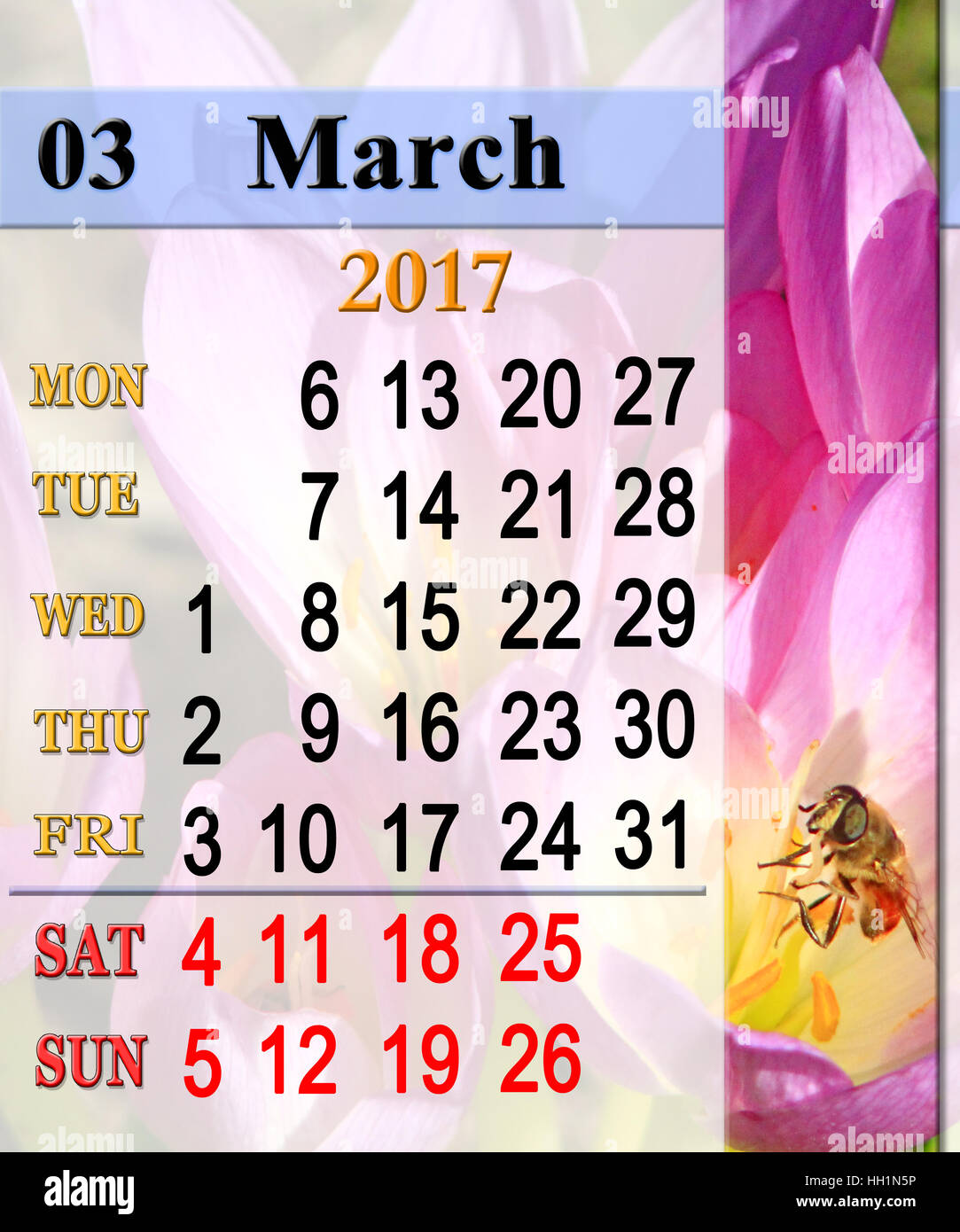 calendar for March 2017 with flowers of pink flowers of colchicum Stock ...