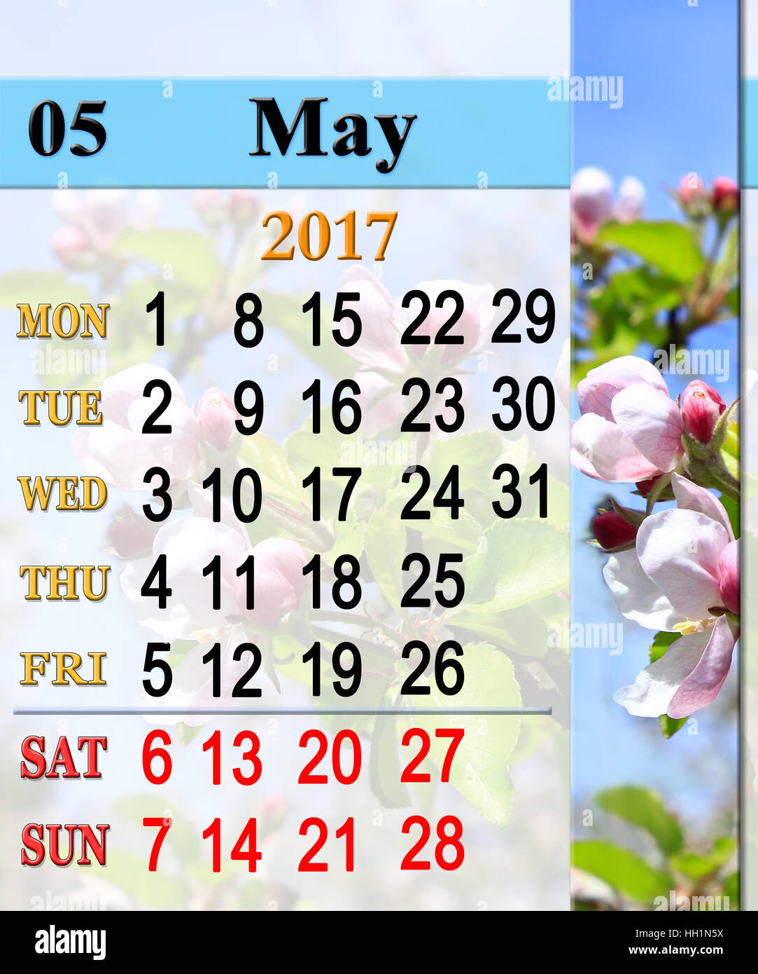 calendar for May 2016 with white blooming apple tree Stock Photo - Alamy