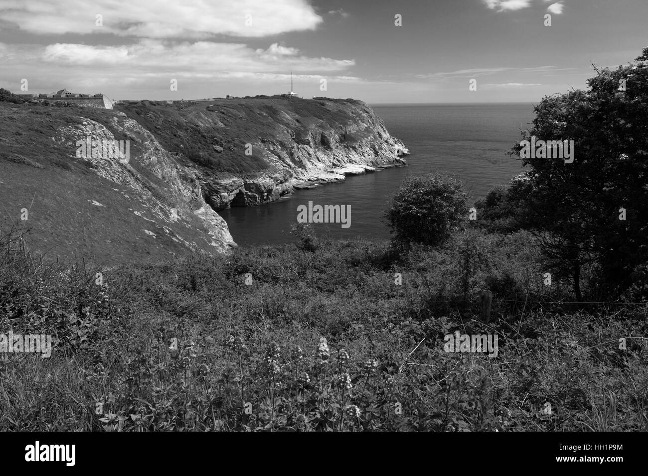 Summer, cliffs at Berry Head National Nature Reserve, Torbay, English ...