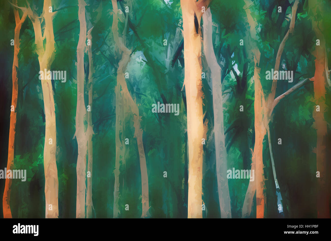 Abstract Australian Eucalyptus and Angophora forest background. Digital ...