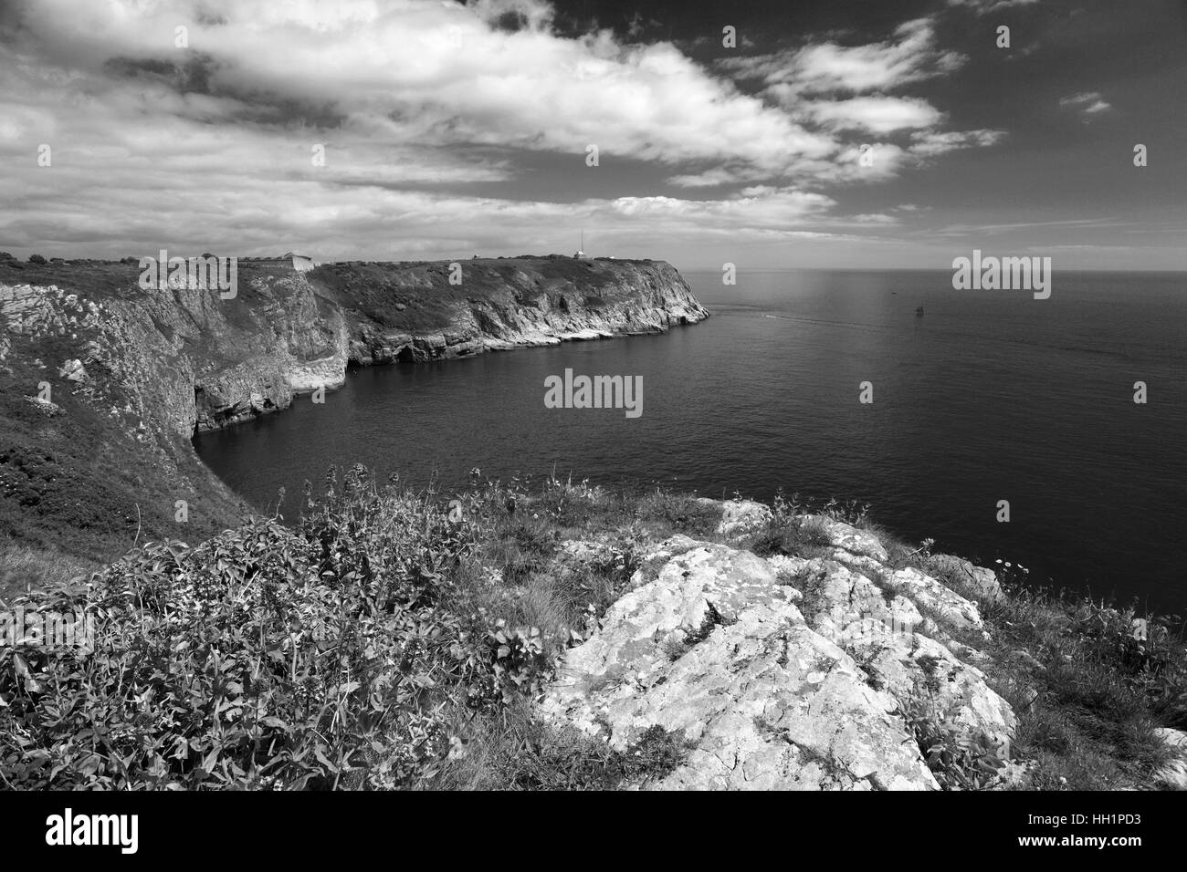 Summer, cliffs at Berry Head National Nature Reserve, Torbay, English ...