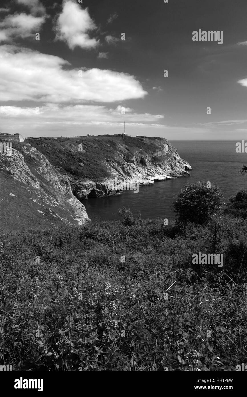Summer, cliffs at Berry Head National Nature Reserve, Torbay, English ...