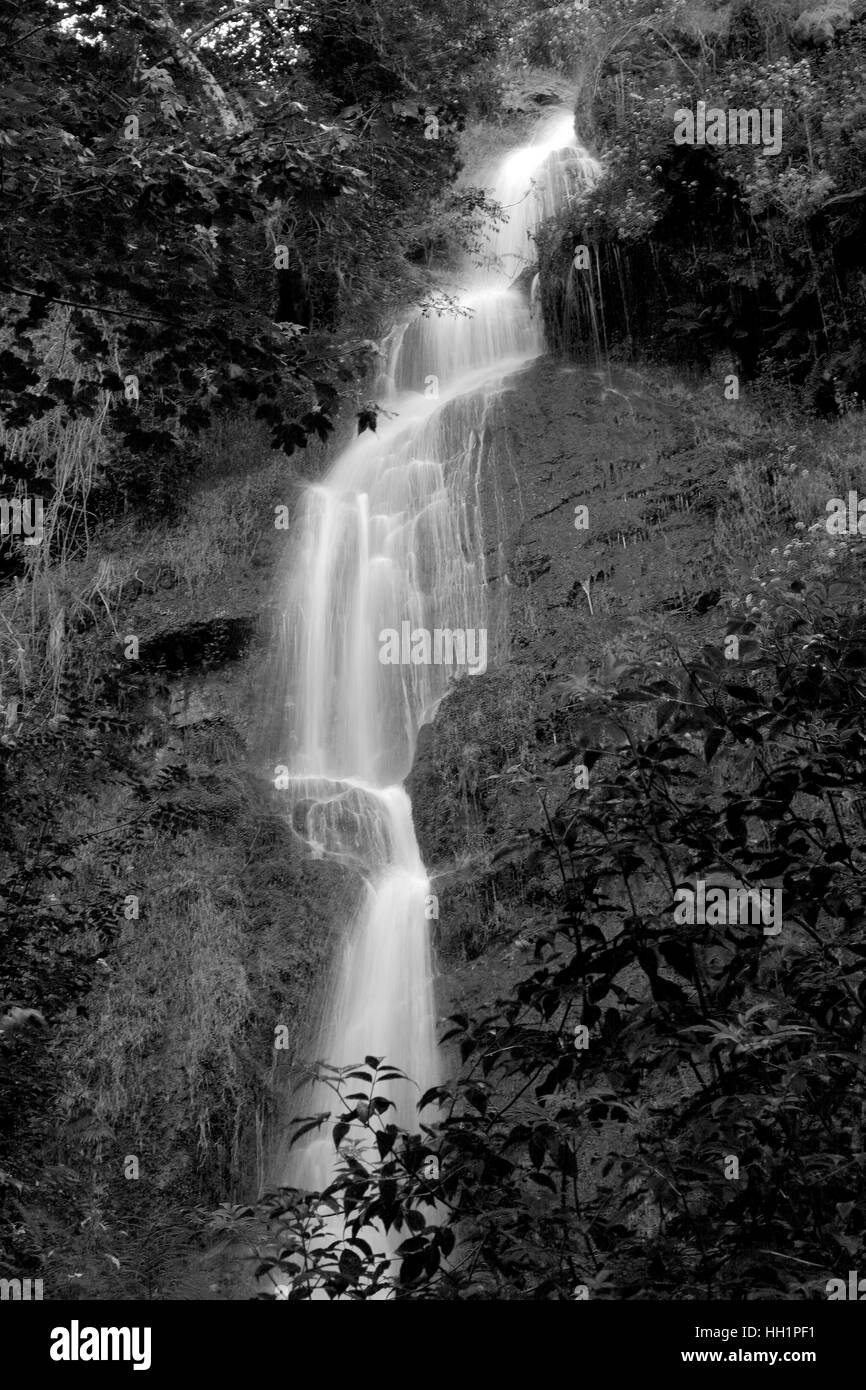 Canonteign Falls,Teignbridge District, Dartmoor National Park, Devon ...